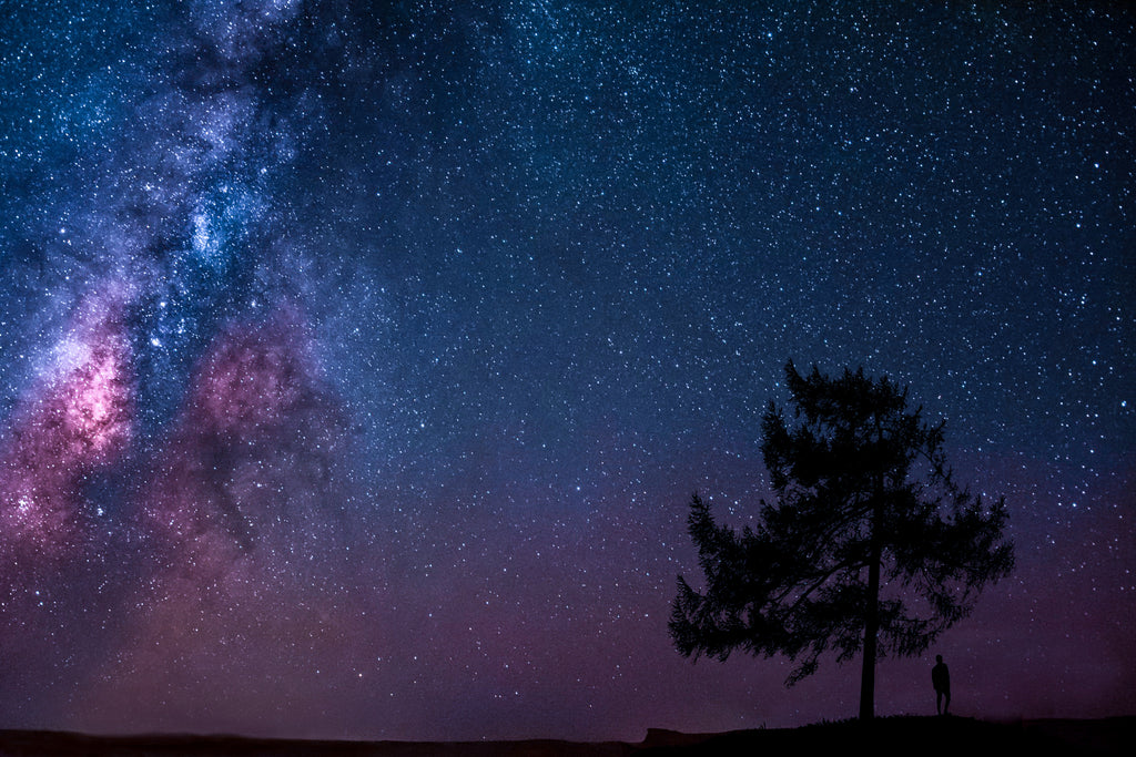 What is Scopio? Popular Questions and Artists for Photographers and Vi